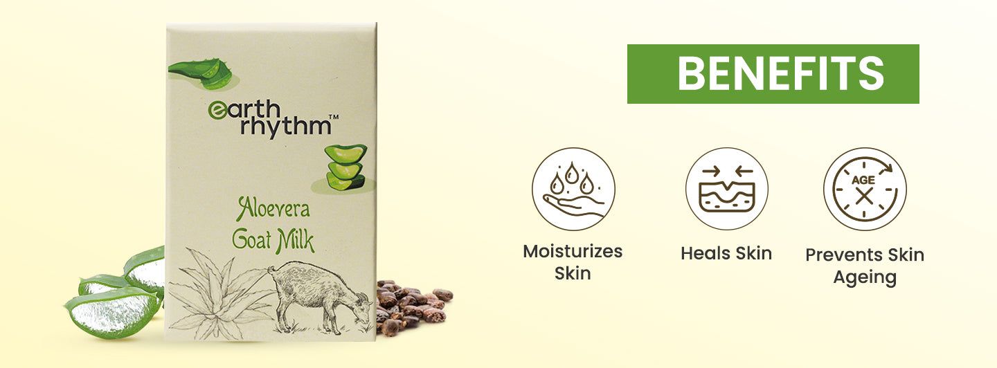 Foxy.in : Buy Earth Rhythm Aloe Vera Gel Soap with Goat Milk (100g ...