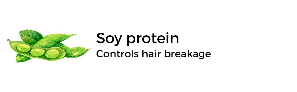 Foxy.in : Buy Brillare Hair Fall Control Shampoo + Oil Shots online in ...