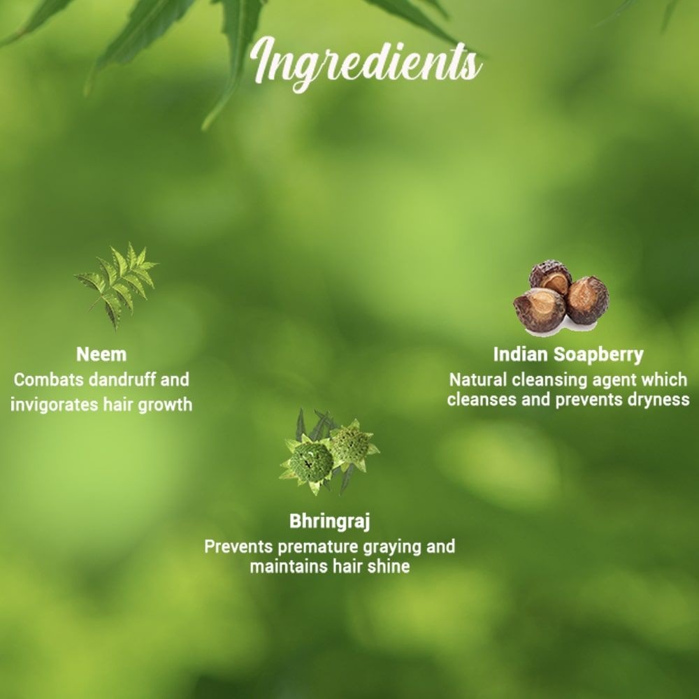 Foxy.in : Buy Biotique Bio Neem Margosa Anti Dandruff Shampoo and ...